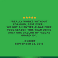 HTH Super Algae Guard 5-in-1: Algae Killer, Preventer, Pool Cleaner, 1 ...