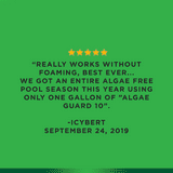 HTH Super Algae Guard 5-in-1: Algae Killer, Preventer, Pool Cleaner, 1 ...