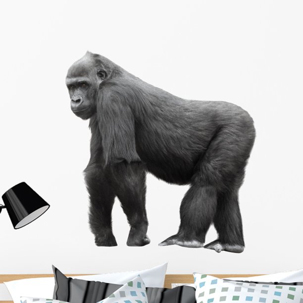 Silverback Gorilla White Wall Decal Sticker by Wallmonkeys Vinyl Peel ...