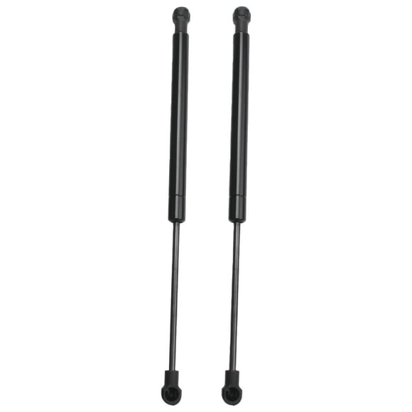 Leer Canopy Gas Struts