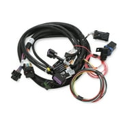 Holley EFI 554-143 Diesel Fuel Injector Driver Module - Walmart.com