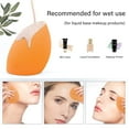 Foundation Sponge, Paw Paw Makeup Blending Beauty Sponge, Makeup Sponge ...