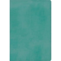 Action Bible Study Bible-ESV (Hardcover) - Walmart.com