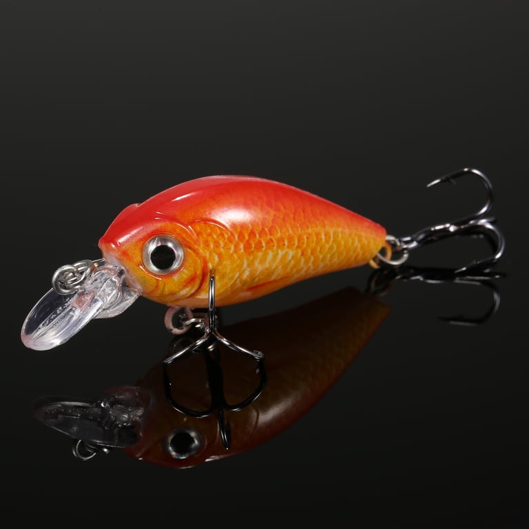 Carp Fish Bait