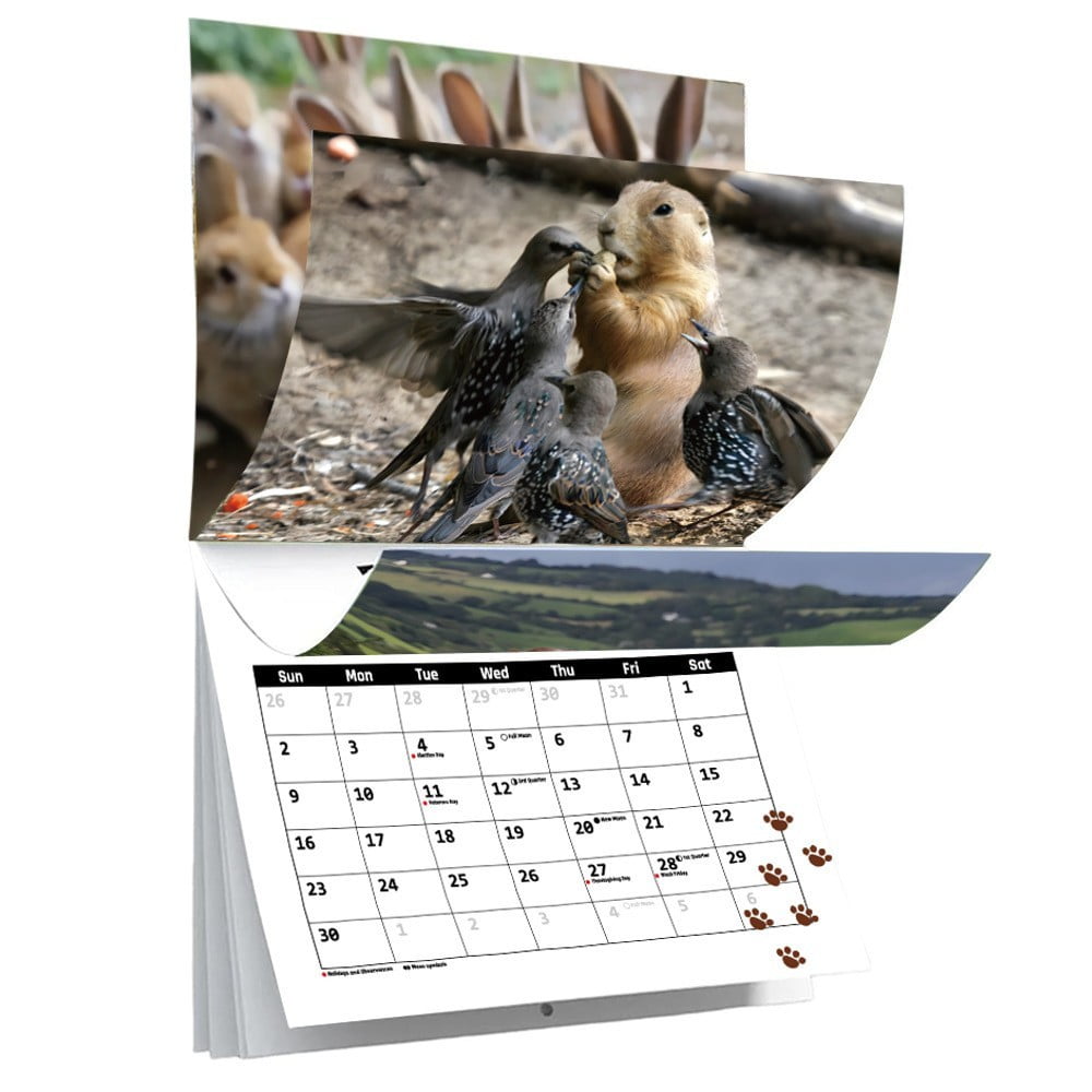 Click here for Kuegmeu 2025 Animal Friends Wall Calendar With Mon... prices