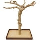 Prevue Pet Products Coffeawood Java Tree Large Floor Playstand Style #2 ...