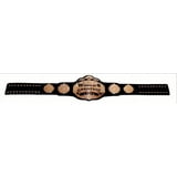 Worlds Greatest Dad Championship Belt - Walmart.com