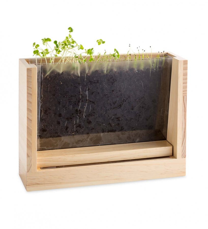 Buy HearthSong Grow With Me Wood and Acrylic Root Viewer with Garden ...