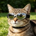 Adjustable Strap Pet Glasses Lightweight PC Eyewear Windproof Sun ...