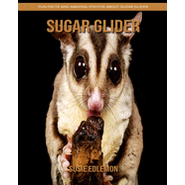 Funny Sugar Glider Gif