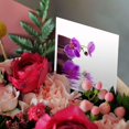3drose, Orchid Flower Zen Style with Water Photography, 6 Greeting ...