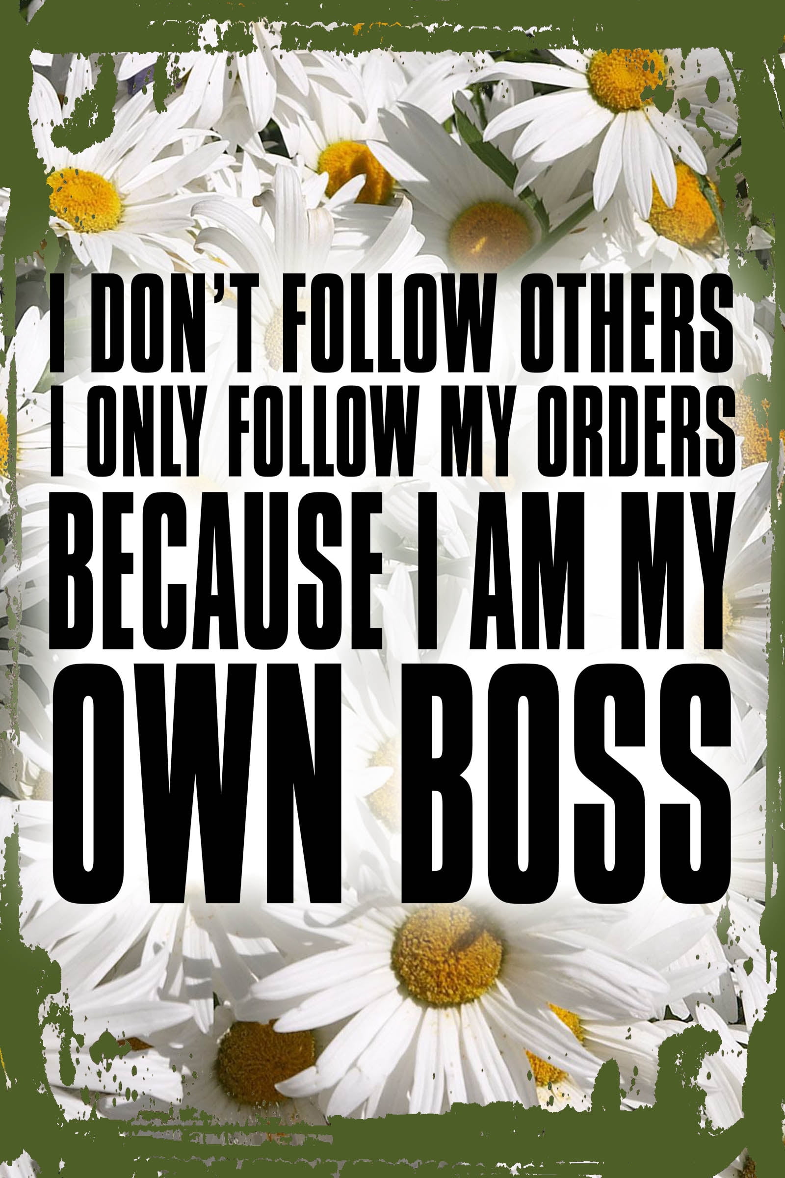 Daisy Flower Images Only | Best Flower Site