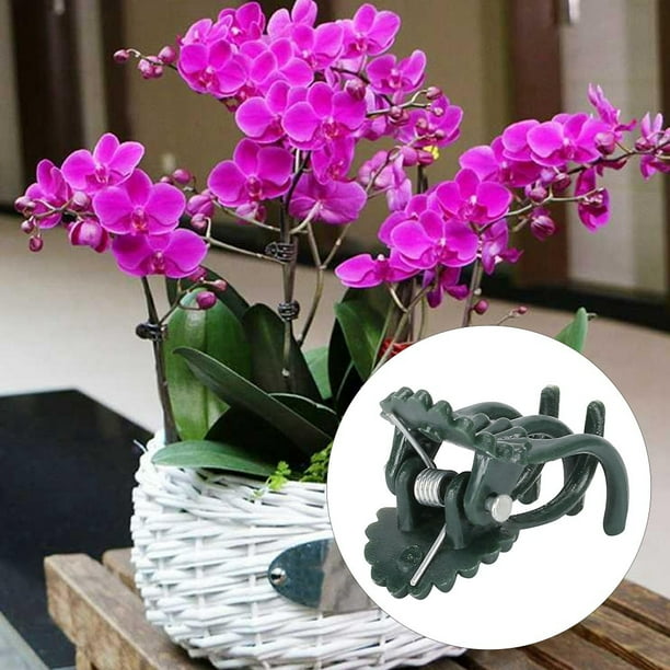 Lant Support Clip, Flower Shaped Plant Clip Stem Clip Conditions Clip ...