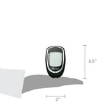 True Metrix Blood Glucose Monitor - Walmart.com