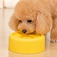 Automatic Floating Water Bowl for Cats and Dogs with 1500ml Spill Proof ...