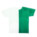 Tulip® Color Shot Instant Fabric Color Spray 3 oz Green - Walmart.com