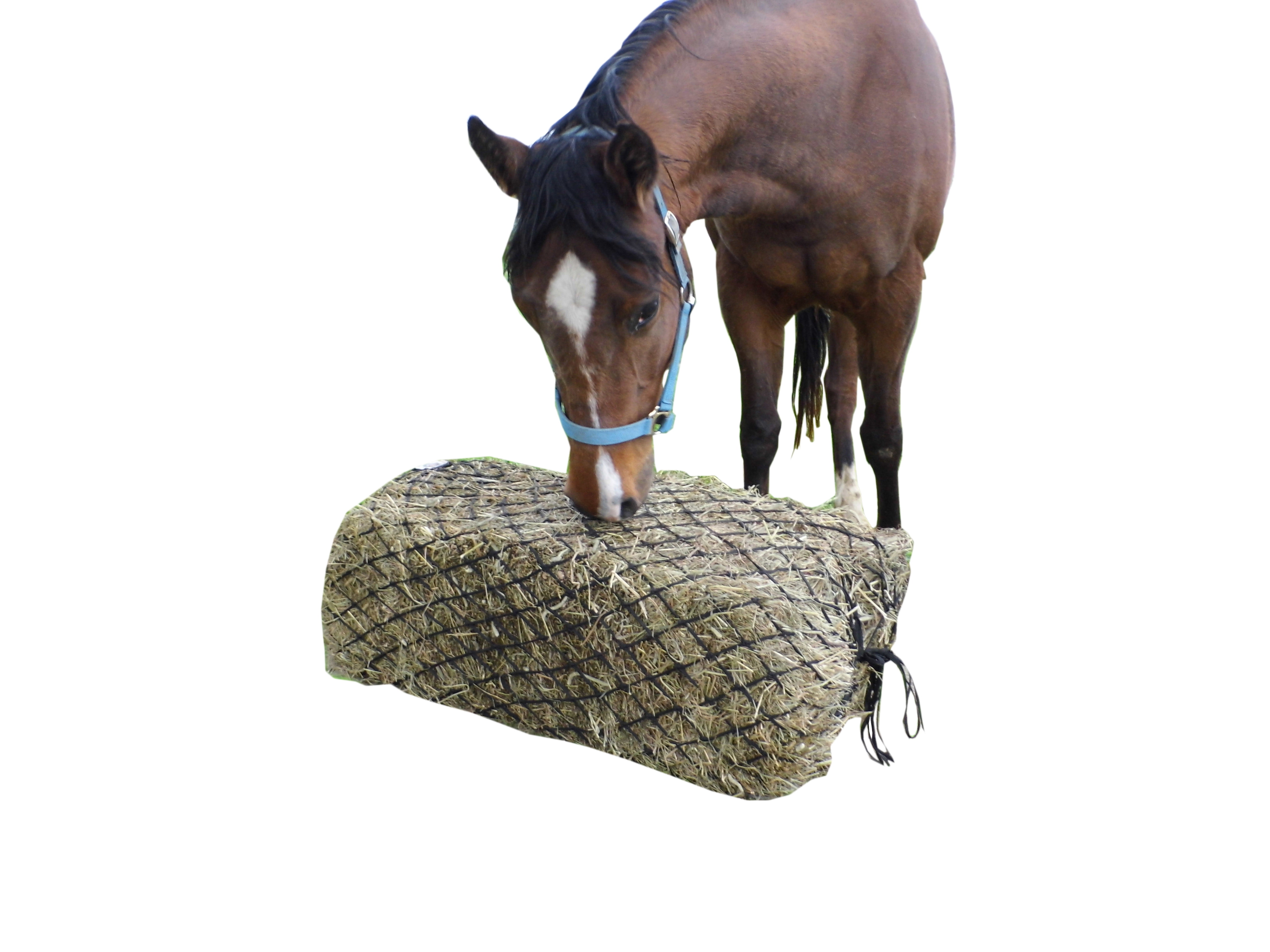 Derby Originals 57” X-Large Slow Feed Hanging Hay Net for Horses ...