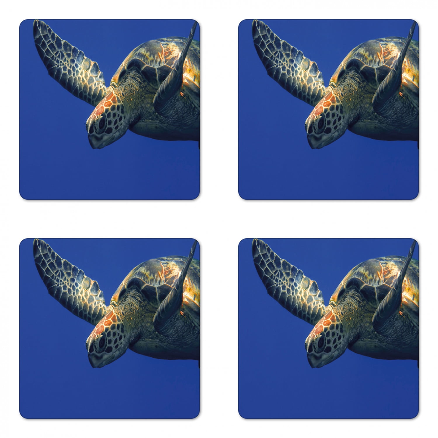 Turtle Coaster Set of 4, Close up Photo of Green Turtle at Sipadan ...