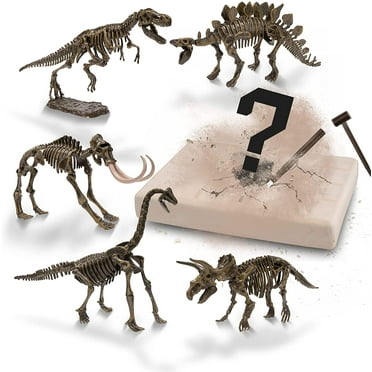 Giant Dinosaur Skeleton Kit - Walmart.com