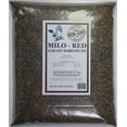 Red Milo (Grain Sorghum) (8) - Walmart.com