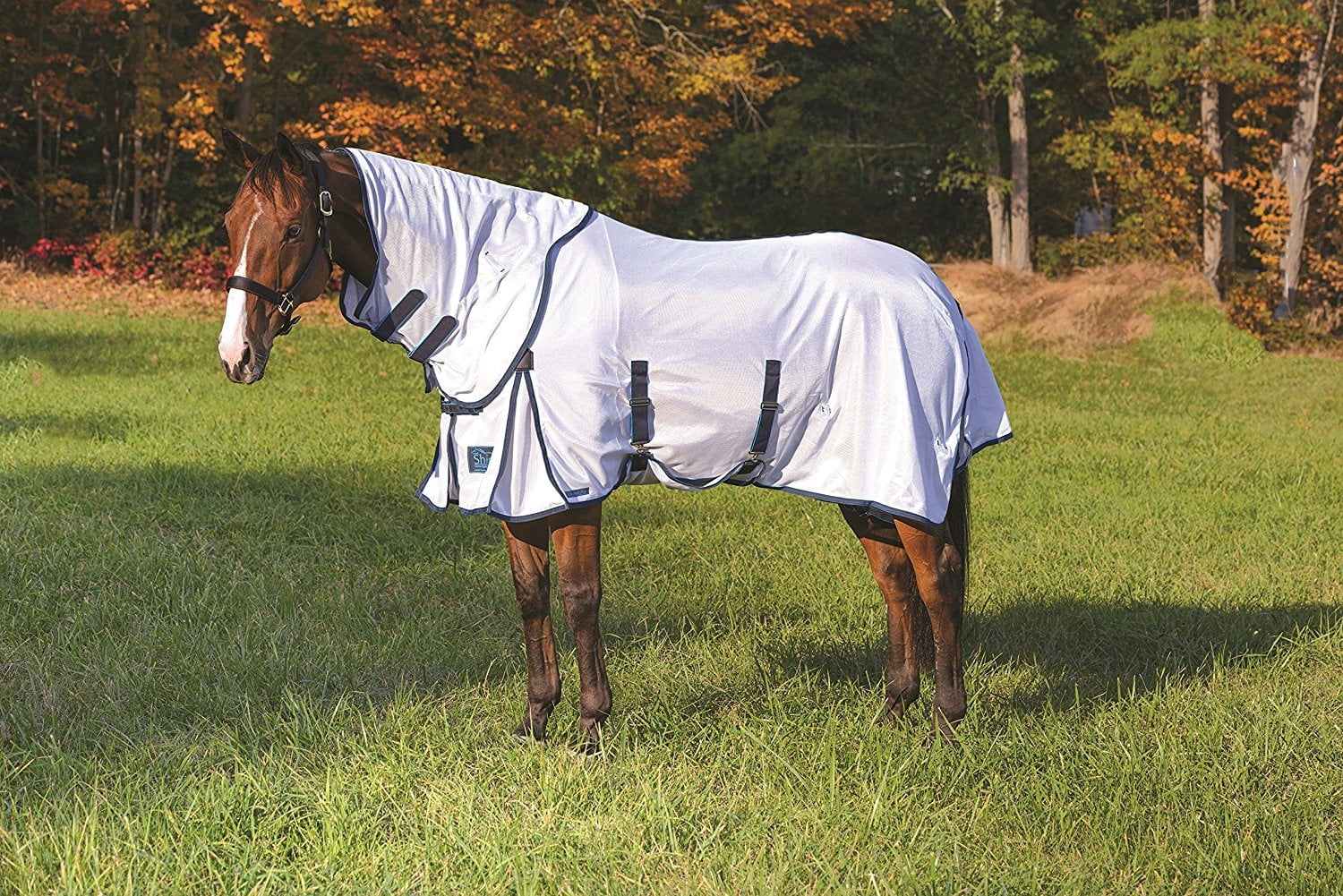 Shires Sweet-Itch Combo Fly Sheet 84 - Walmart.com