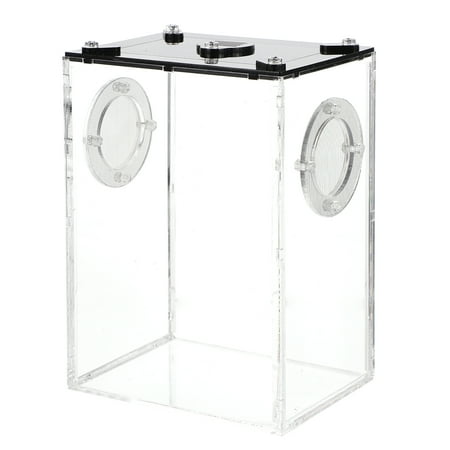Reptile Box Acrylic Lizard Box Transparent Reptile Breeding Box Home ...