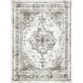 BERTHMEER 4'x6' Area Rugs Washable Vintage Oriental Rugs for Office ...