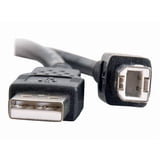 9FT USB AB DEVICE BLACK USBA TO USBB - Walmart.com