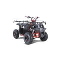 "Tao Motor Youth Gas Quad D125 107cc 4-Stroke Kids ATV with 7"" Wheels ...