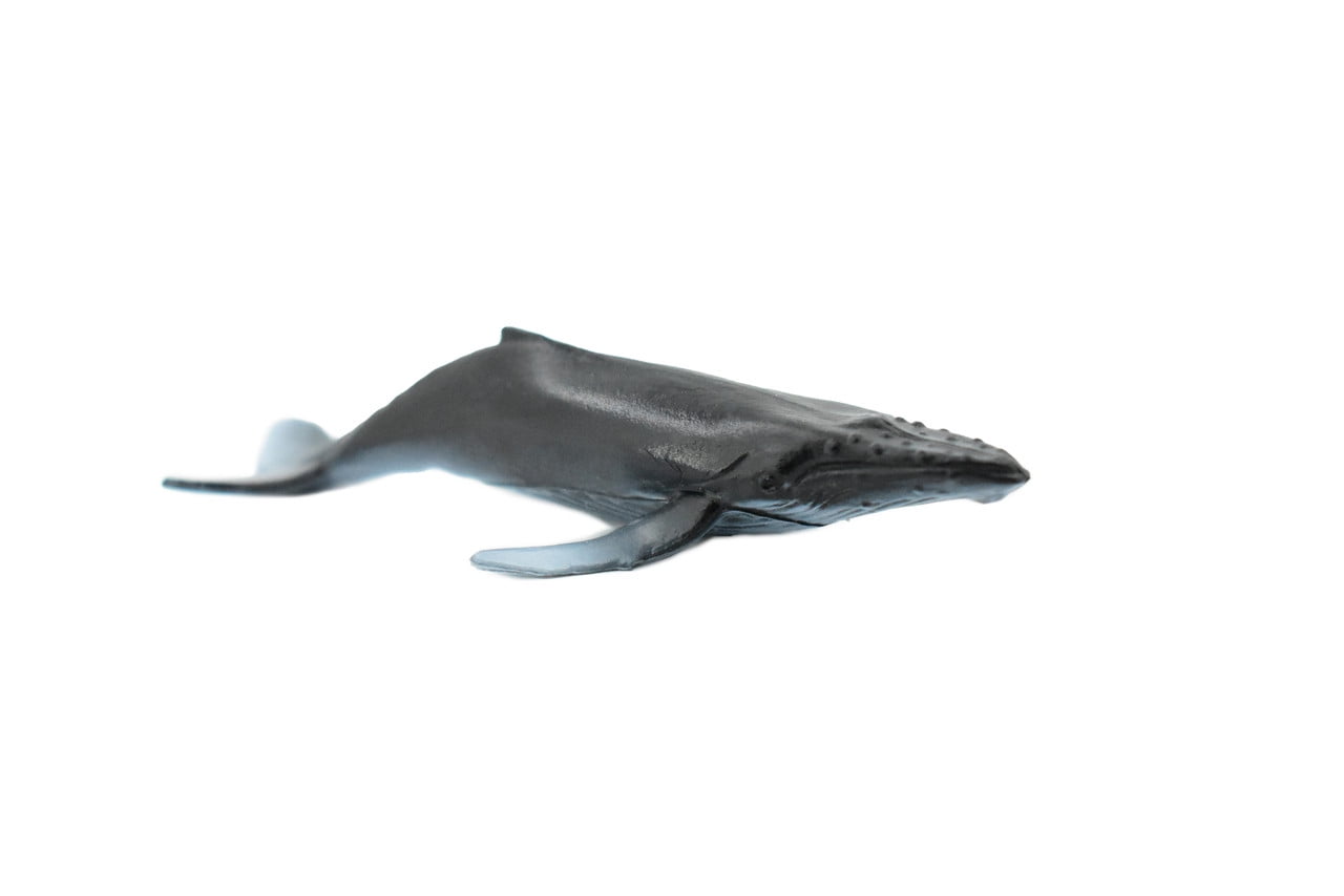 Humpback Whale, Rubber Animal, Realistic Toy Figure, Model, Replica ...