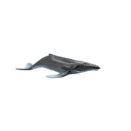 MOJO - Realistic International Wildlife Figurine, Humpback Whale ...