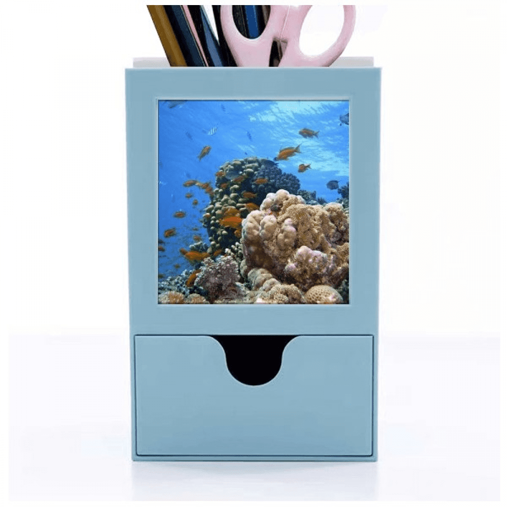 Ocean Fish Science Nature Picture Desk Supplies Organizer Pen Holder ...