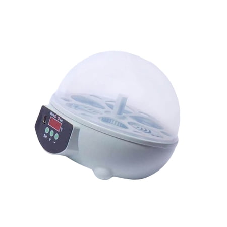 Mini 6 Eggs Incubator Hatcher Digital Egg Incubator Poultry Temperature ...