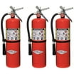 Ansul® Sentry® 10 lb ABC Fire Extinguisher w/ Wall Hook - Walmart.com