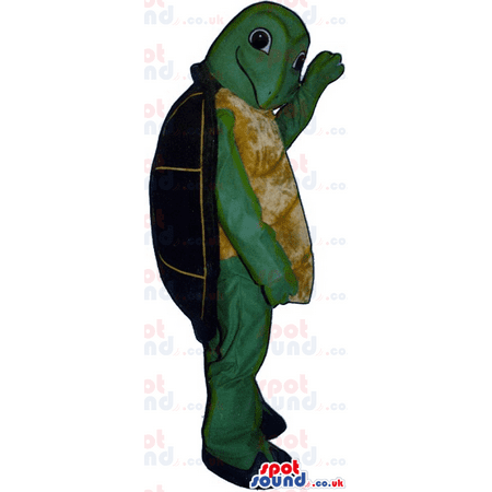 Cute Green And Brown Turtle Plush SPOTSOUND Mascot With A Back Shell ...