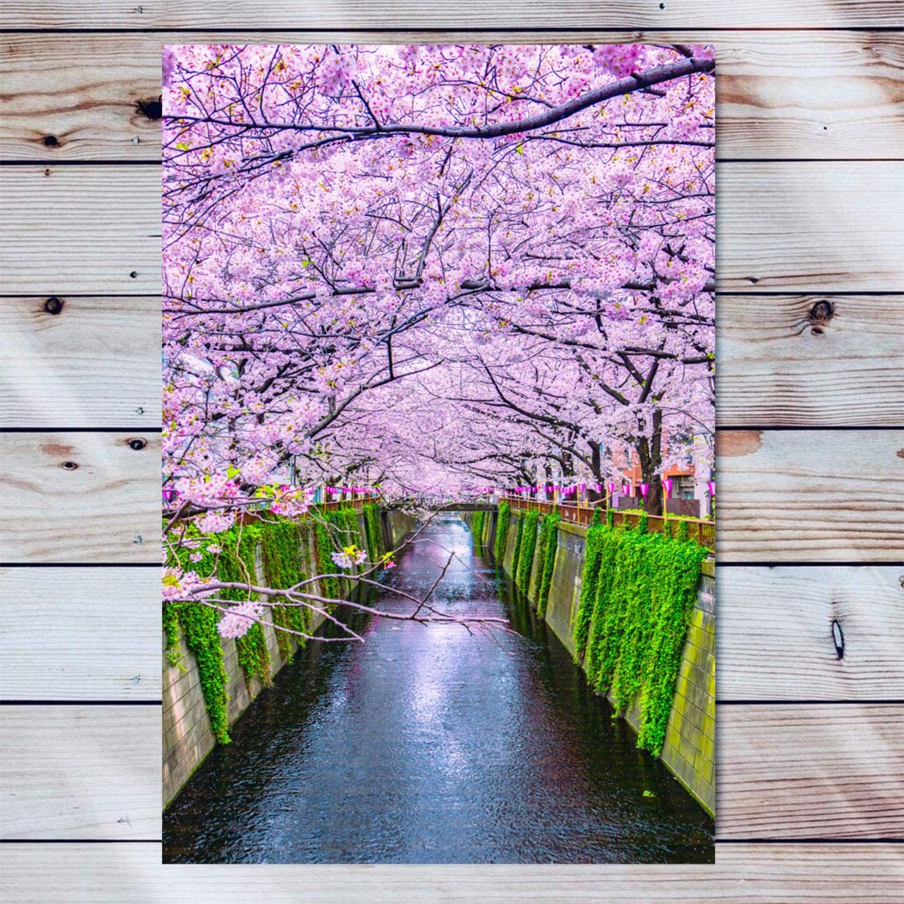 Spring Canvas Wall Art For Living Room Modern Artwork Beautiful Sakura ...