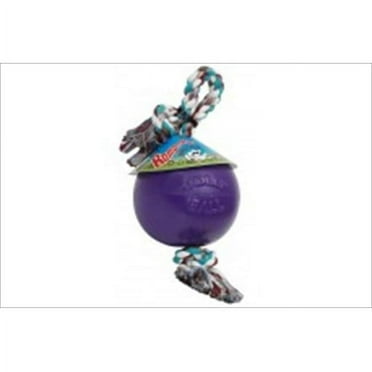 Jolly Pets Large Romp-n-Roll Dog Toy, 8", Non-Deflatable, Purple ...