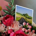 3drose, Deep Bright Orange Hibiscus Flower, Honolulu. State Flower of ...