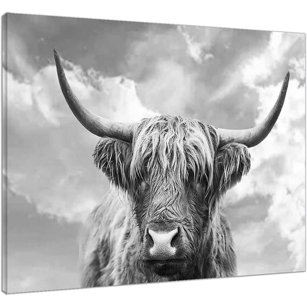 Western Color Schemes