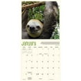 Carousel Calendars, Sloth Life 2025 Wall Calendar - Walmart.com