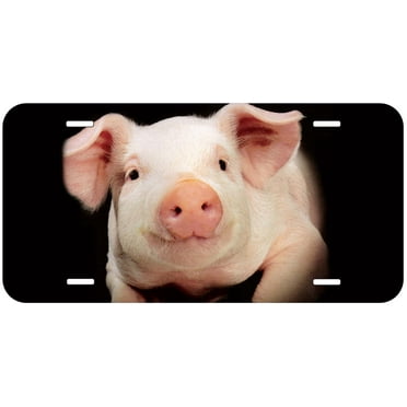 Alabama State Flag Novelty Metal Vanity License Tag Plate - Walmart.com