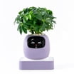 Interactive Plant Pot - maintenance plant assistant, Smart Planter with ...