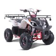 "Tao Motor D125 107cc 4-Stroke Kids Gas Powered Four Wheeler Quad ATV ...