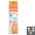 Great Value Citrus Scent Disinfectant Spray, 1 lb 3 oz - Walmart.com