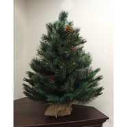 Haute Decor 5 Foot Pre-Lit Timberland Fir Potted Christmas Tree ...