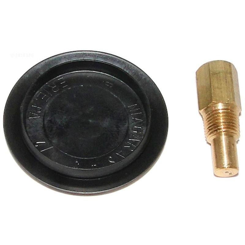 Raypak Rear Drain Plug and Cover 005264F - Walmart.com