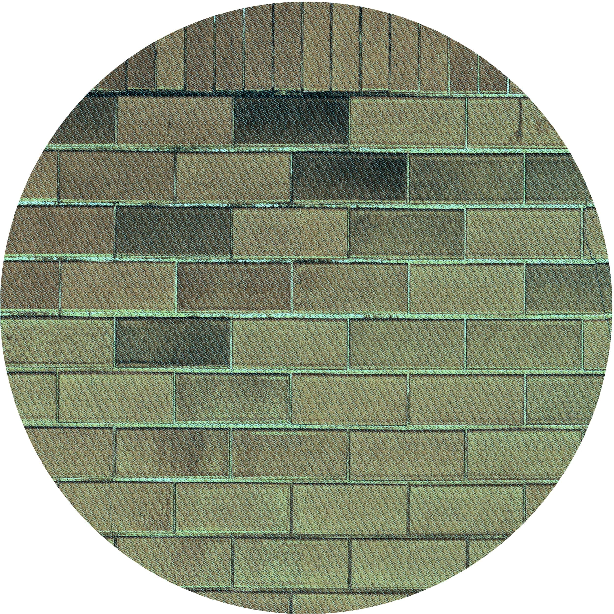 Ahgly Company Indoor Round Patterned Dollar Bill Green Area Rugs, 8 ...