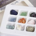 LeeQinersw 12pcs/set Rock and Mineral Educational Geology Science ...