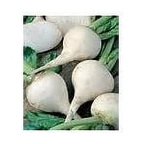 Detroit White Beet Garden Seeds - 1 Oz - Non-GMO Vegetable Gardening ...
