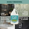 Simple Green Lime Scale Remover, 1 Gallon - Walmart.com
